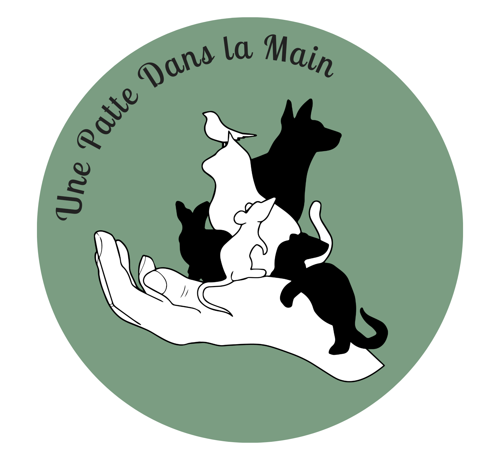Harvey - Une Patte dans la Main